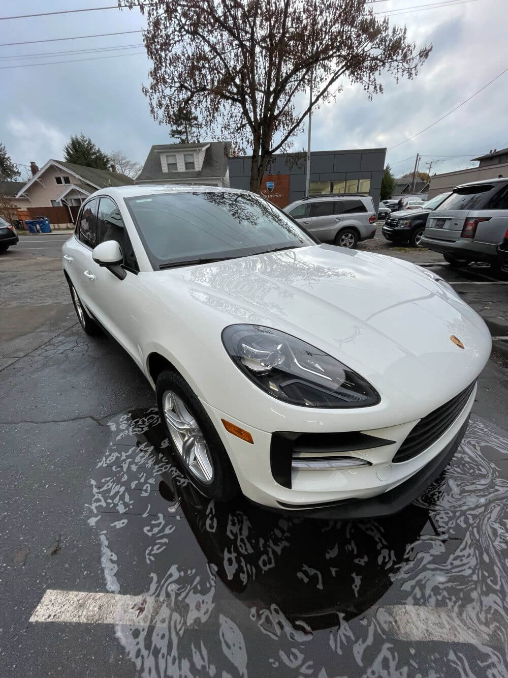 White Center Car Paint Correction - Lando Mobile Detailing
